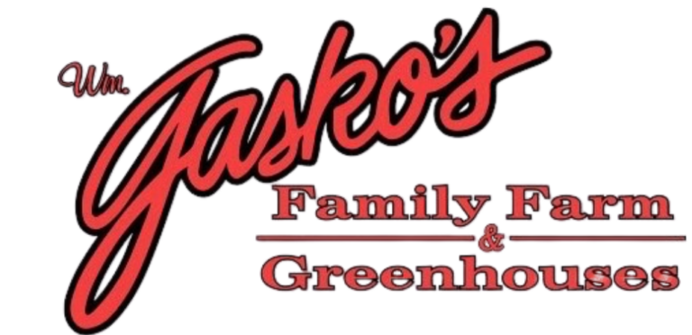 Current Ad
