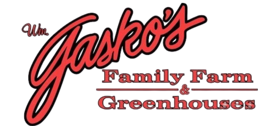 Current Ad